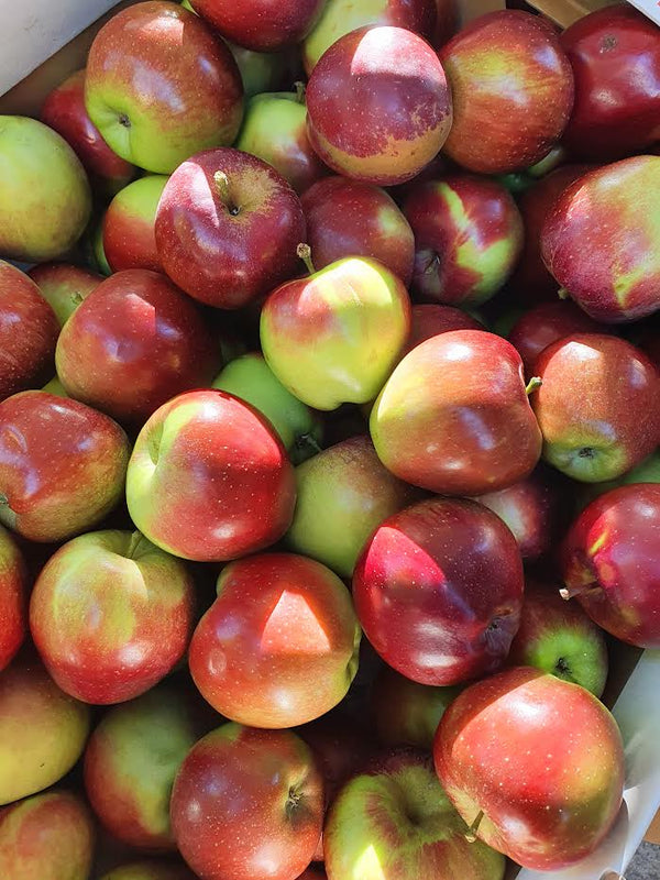 Spartan Apples - Peters Produce Kent